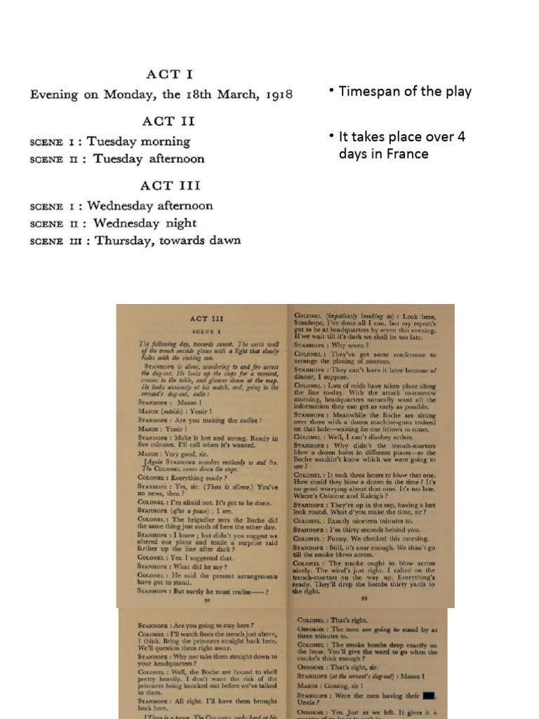 Journey's End: Trotter's Role in Battle | PDF | Art