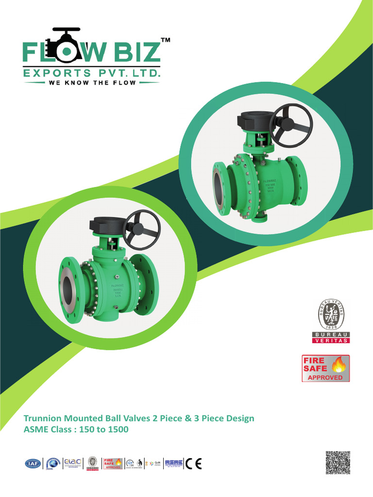 FlowBiz Trunnion Mounted Ball Valves | PDF | Valve | Gas Technologies