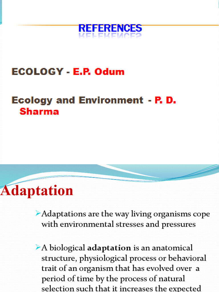 Aquatic Adaptations in Animals Explained | PDF | Sea | Habitat