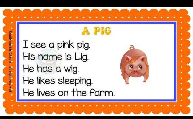 A Pig | PDF