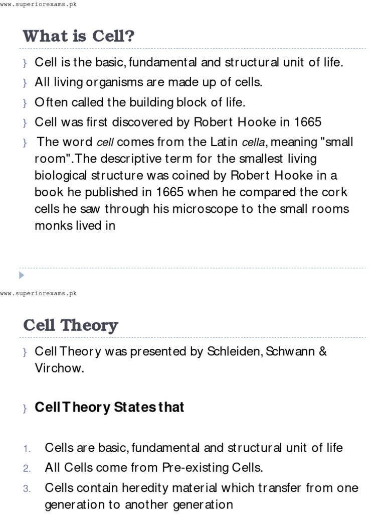 Cell | PDF | Cell (Biology) | Endoplasmic Reticulum