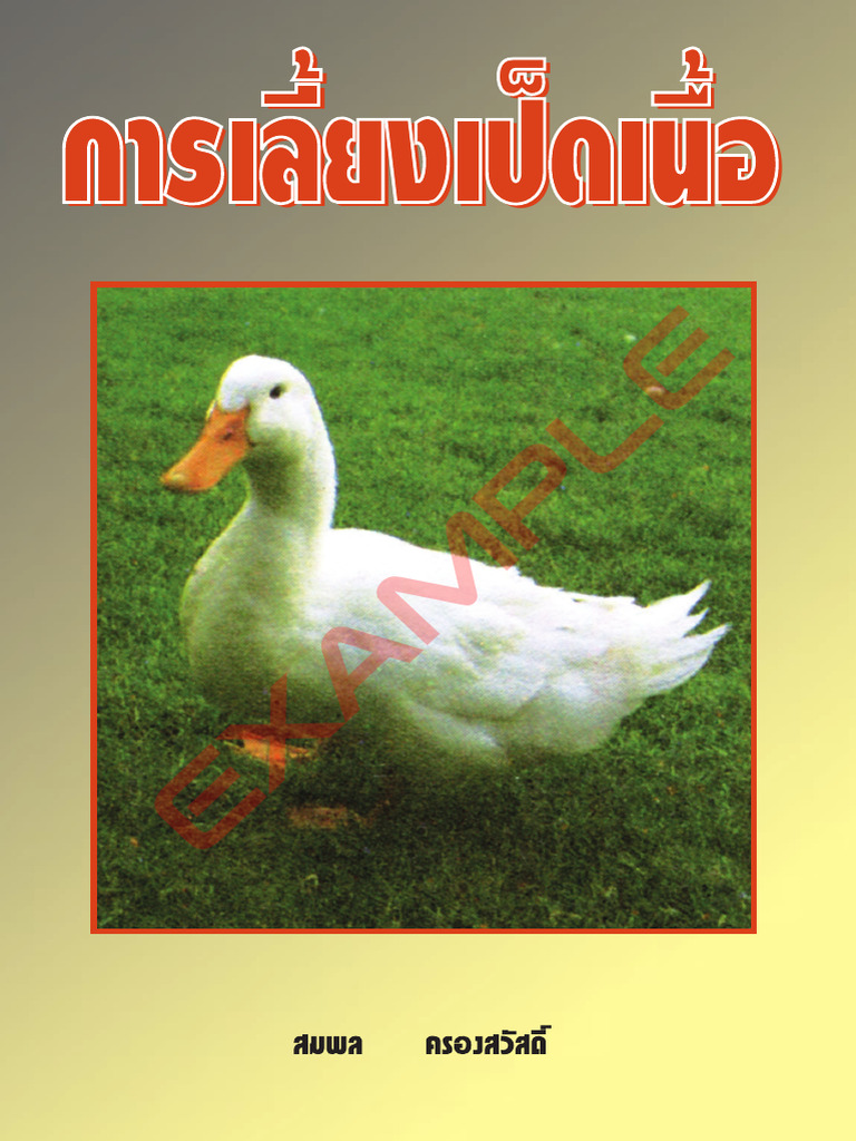 AM PL E: 001-006 - New - Ok - Indd 1 14/10/2556 18:58:33 | PDF