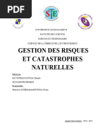 Gestion Des Risques Et Catastrophes | PDF | Inondation | Risque