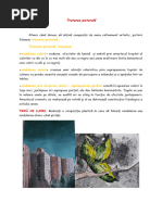 Ritmul in Compozitia Decorativa | PDF