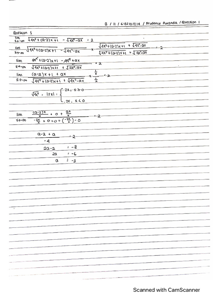 Calculus 1 Excercise 1 | PDF