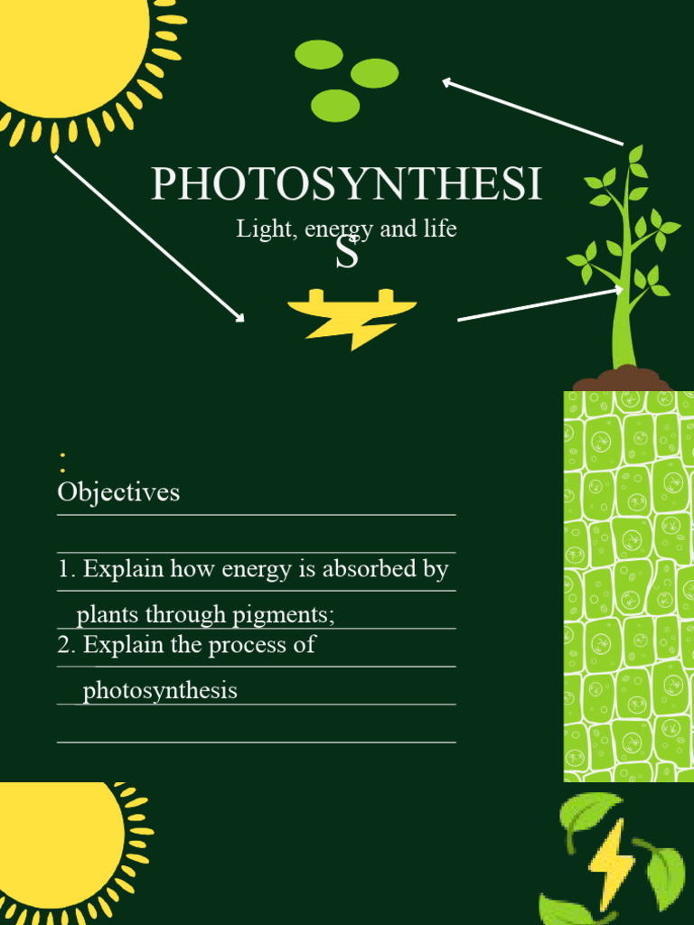Photosynthesis Intro | PDF | Photosynthesis | Physical Sciences