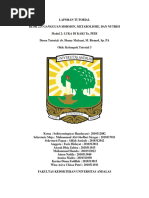 Contoh Esai Ilmiah Populer PDF | PDF