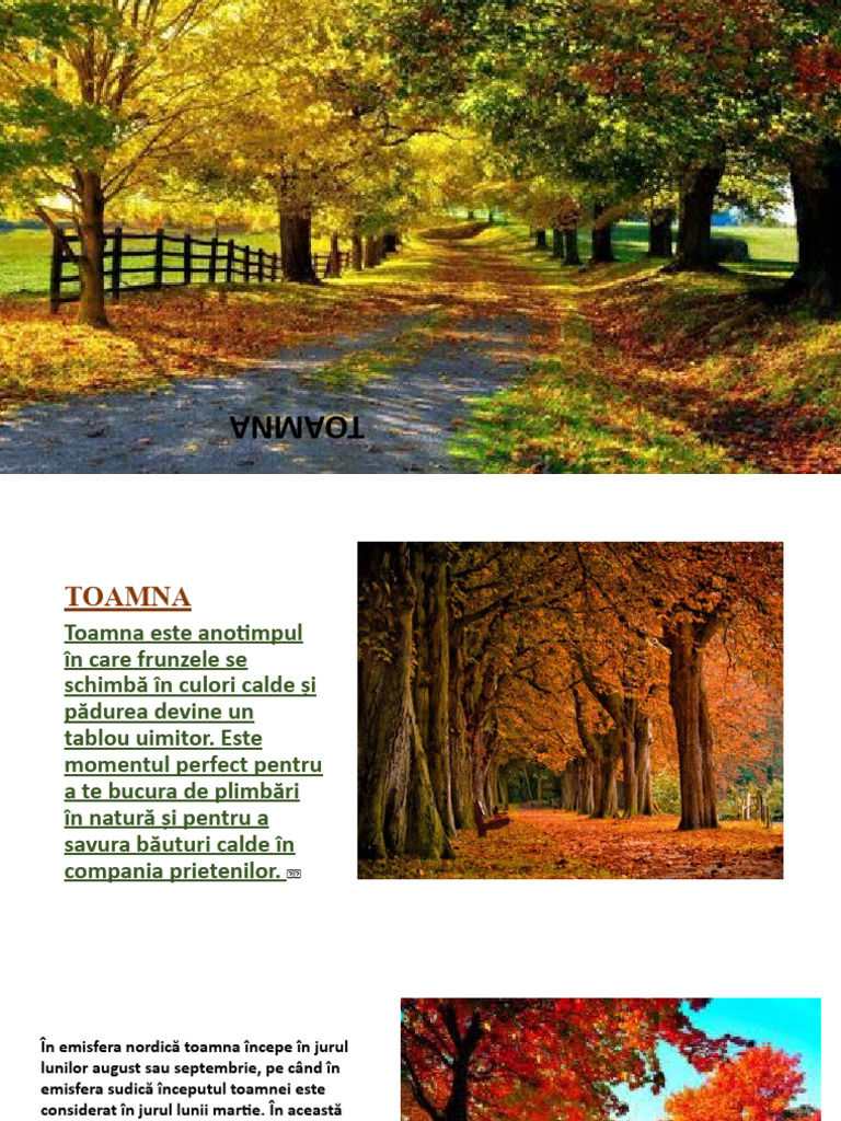 Toamna | PDF