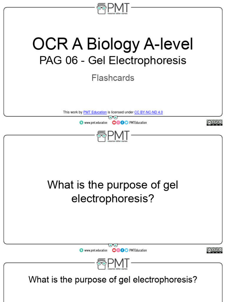 Flashcards - PAG 06 Gel Electrophoresis - OCR (a) Biology a-level | PDF ...