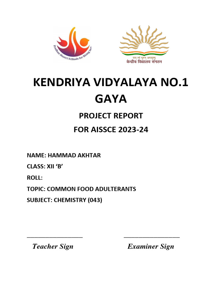 Chemistry Project Class 12 | PDF | Nitric Acid | Chili Pepper