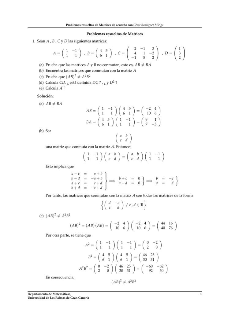 Prob 1. Matrices | PDF | Matriz (Matemáticas) | Funciones y mapeos