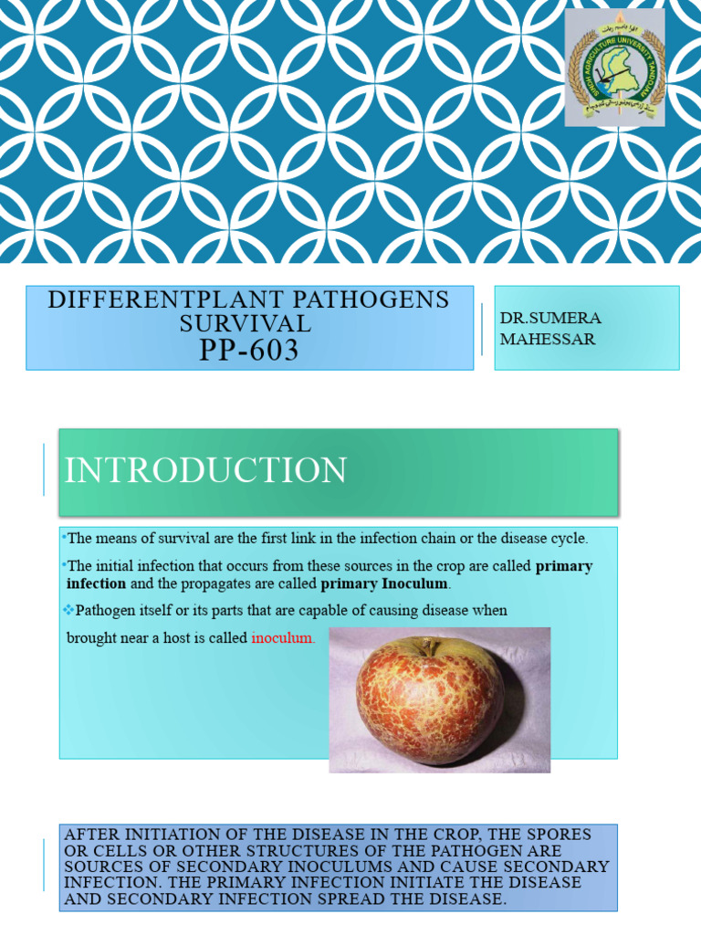 Plant Pathogen Survival and Symptoms | PDF | Plant Pathology | Fungus
