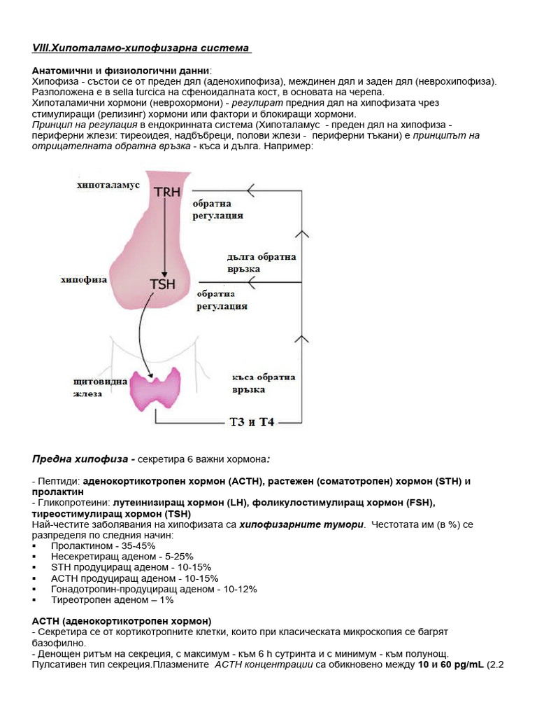 Ендокринология | PDF