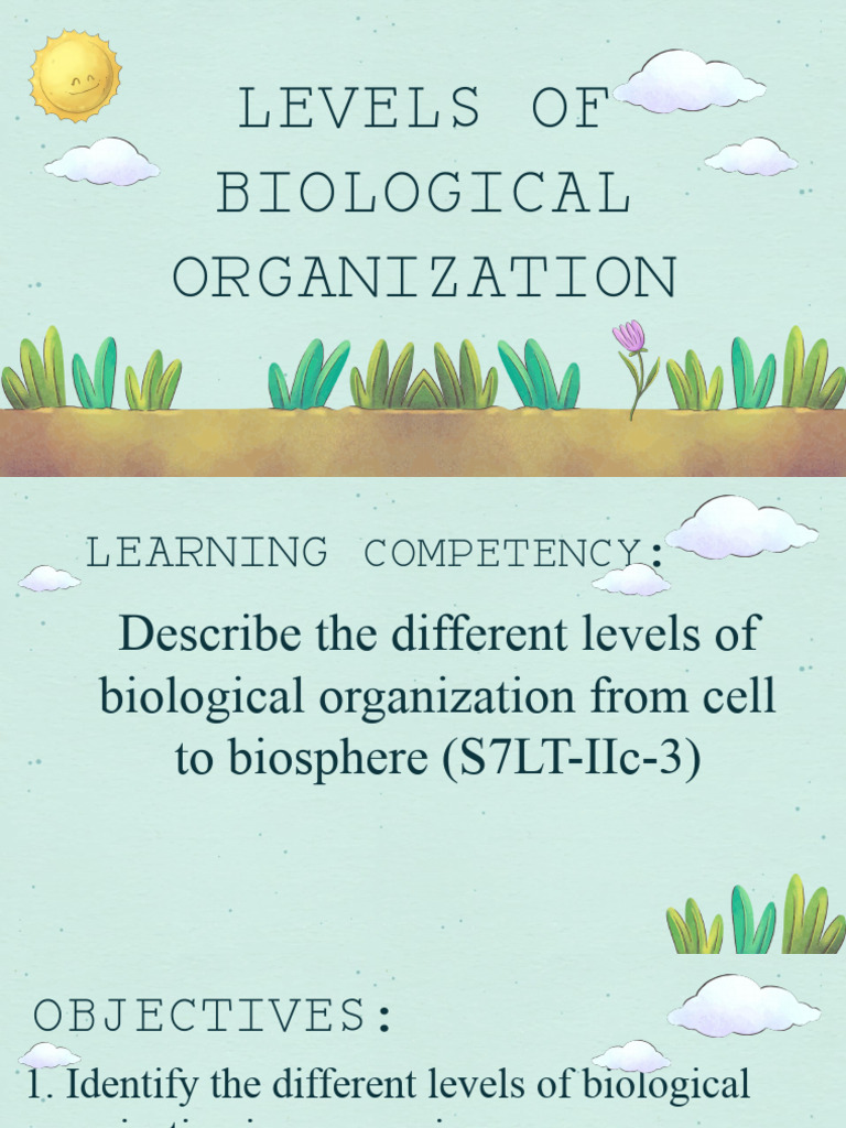q2 3.1 Levels of Biological Organization | PDF | Organisms | Tissue ...