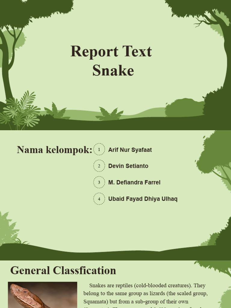 Report Text Snake | PDF | Science & Mathematics