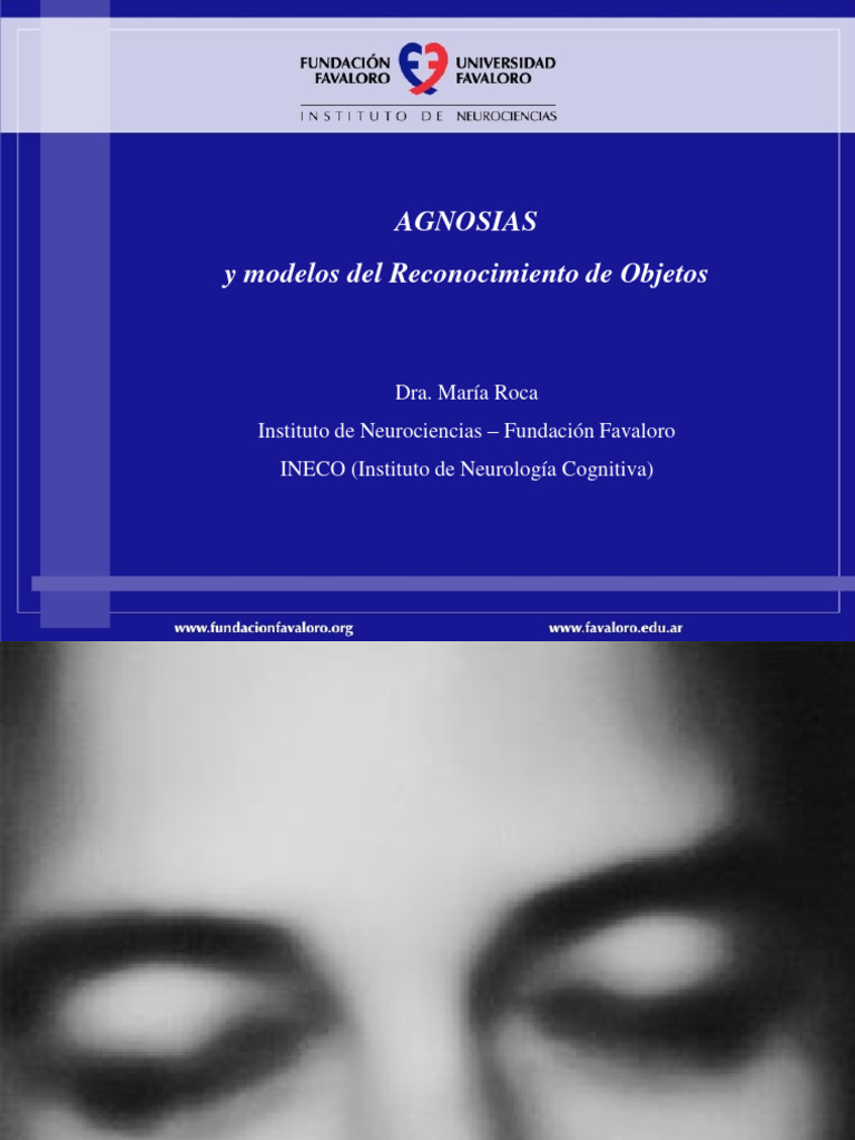 Agnosias Visuales y Reconocimiento de Objetos | PDF | Neurociencia ...
