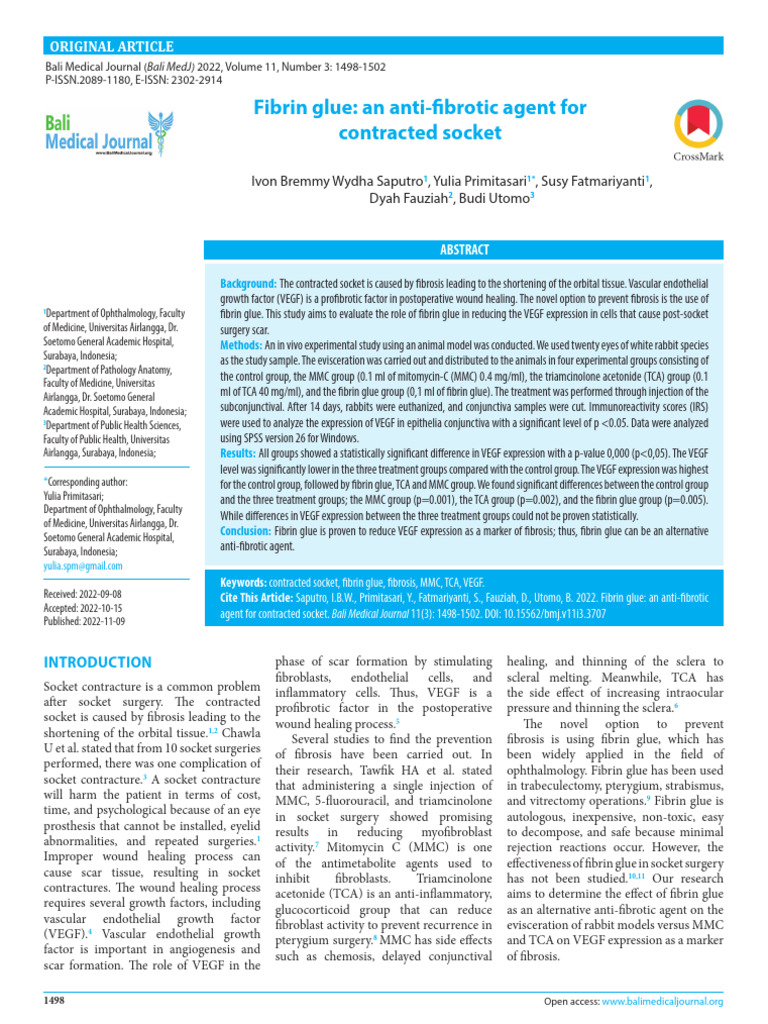 084 - 3707 - Yulia Primitasari - Galley | PDF | Vascular Endothelial ...
