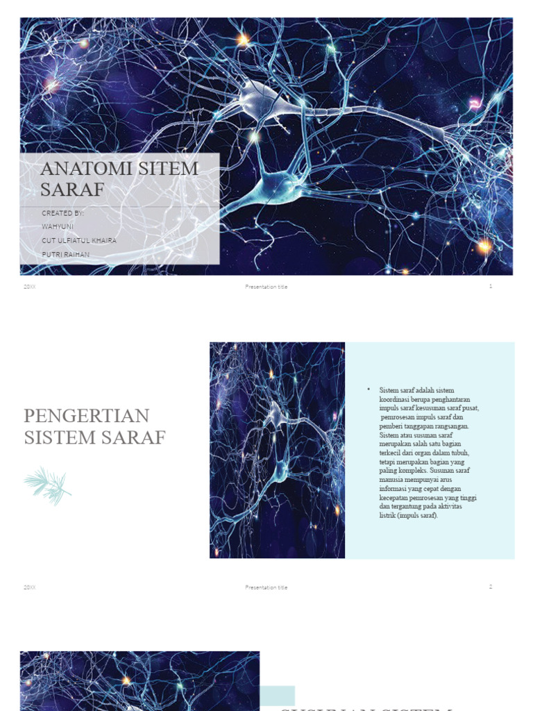 Anatomi dan Penyakit Sistem Saraf | PDF