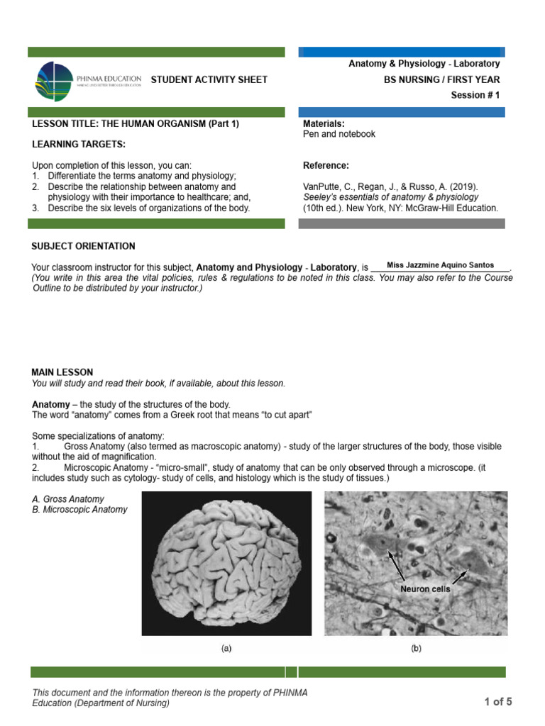 Anatomy & Physiology Lab Overview | PDF | Heart | Anatomy