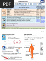 GR R BASELINE ASSESSMENT - 2023 | PDF
