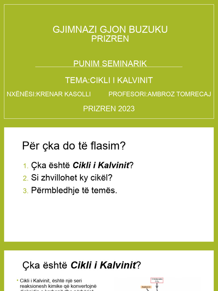 Cikli Kalvinit | PDF