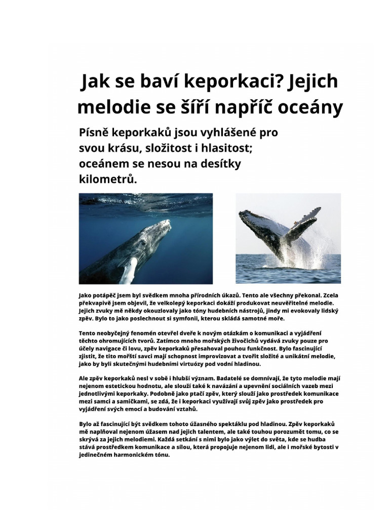 Ukol | PDF