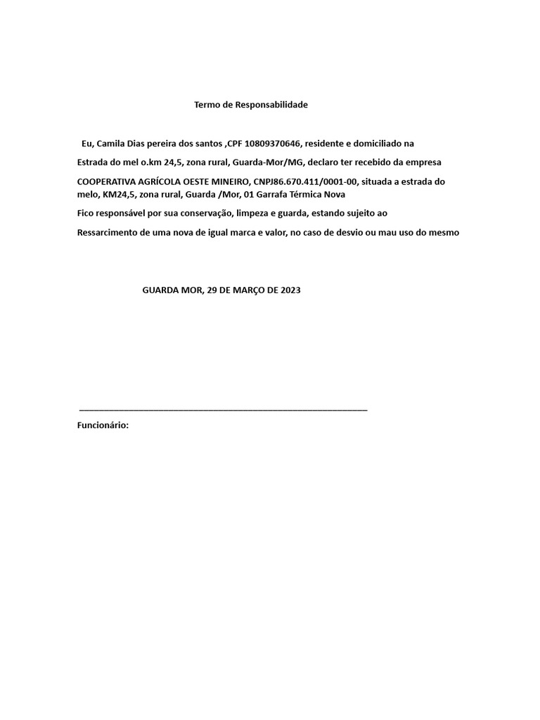 Termo De Responsabilidade Pdf
