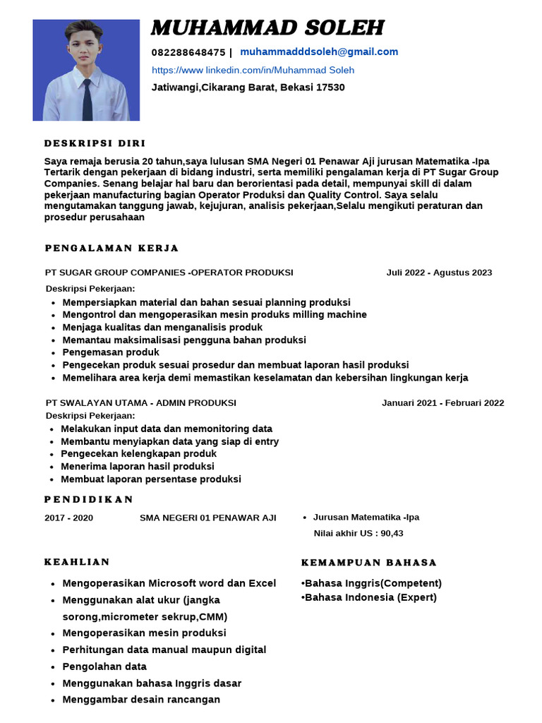 CV Muhammad Soleh MD | PDF | Karier & Perkembangan | Bisnis