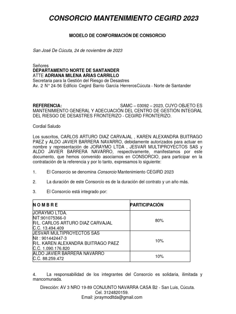 Modelo de Conformación de Consorcio | PDF