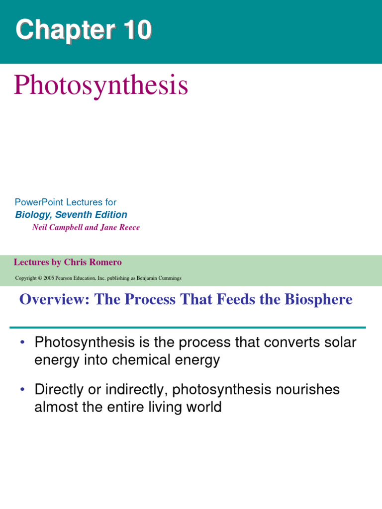 Photosynthesis 1 | Download Free PDF | Photosynthesis | Chlorophyll