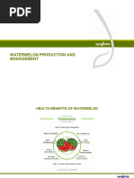 Butternut Production Guide for Zimbabwe | PDF | Fertilizer | Soil