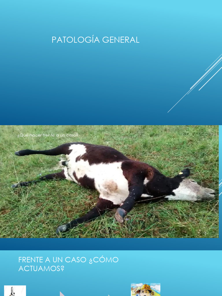 Clase 1 Pato | PDF | Patología | Medicina CLINICA