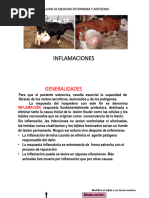 Fases de la Inflamación en PDF | PDF | Inflamación | Inmunología