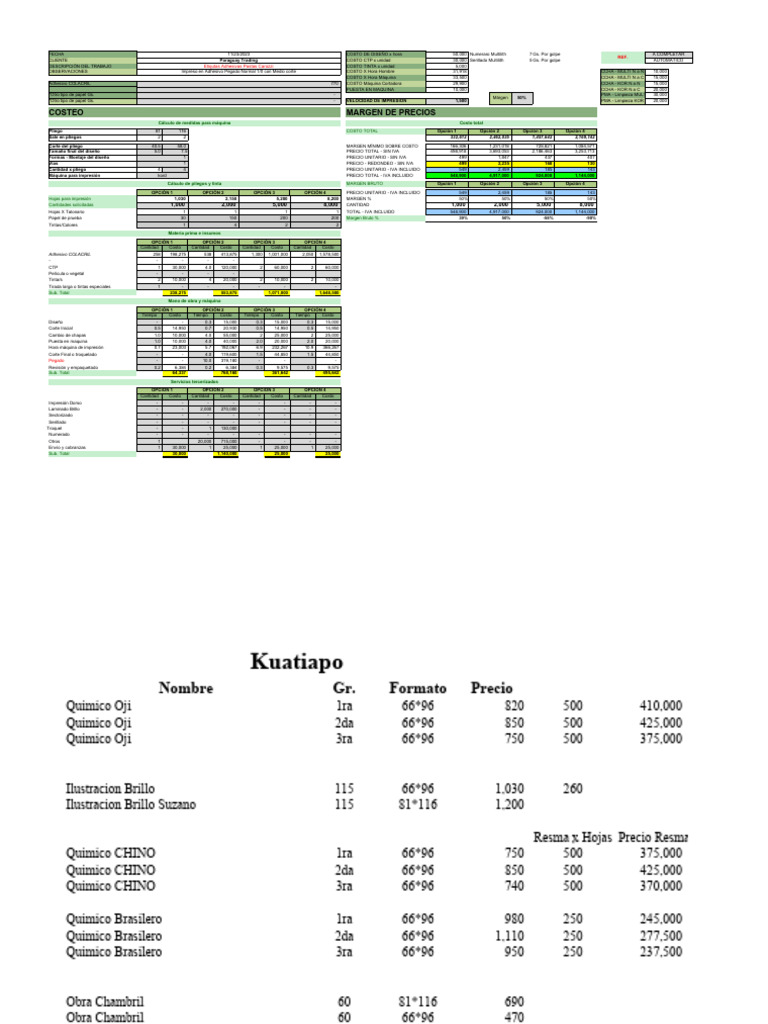 Formato 2 Costeo | PDF