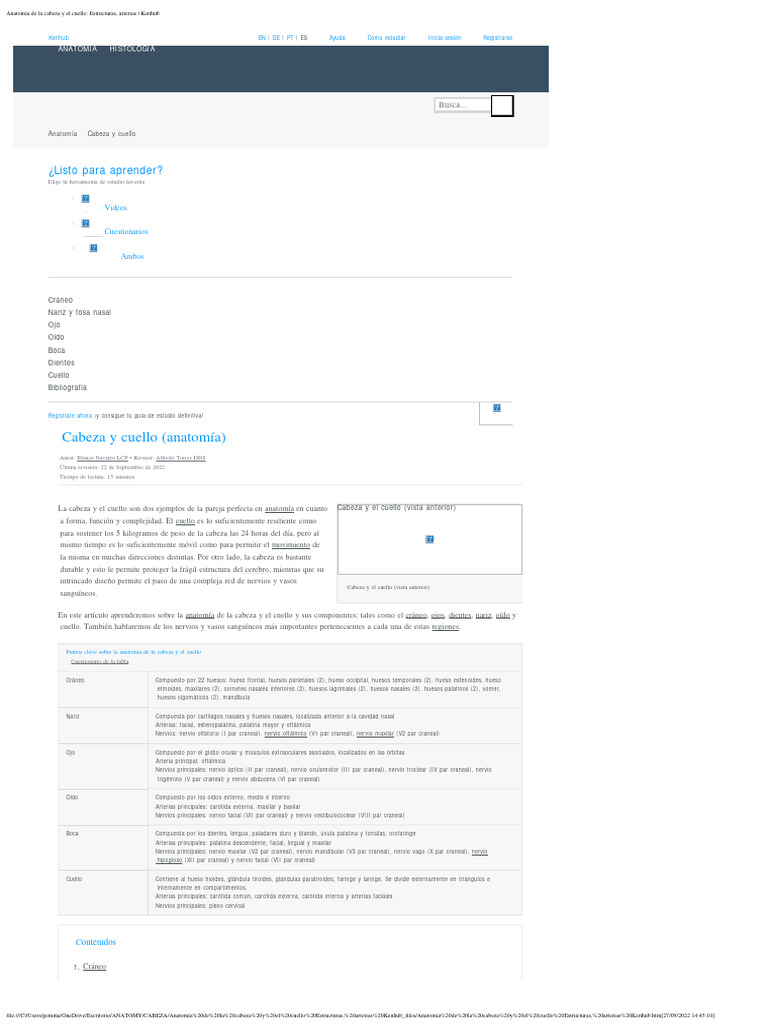 Anatomía De La Cabeza Y El Cuello Estructuras Arterias Kenhub