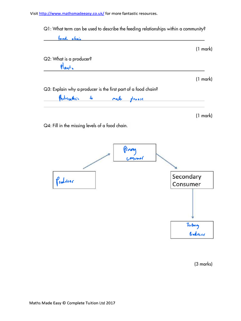 Organising An Ecosystem Exam Style Questions | PDF | Science & Mathematics