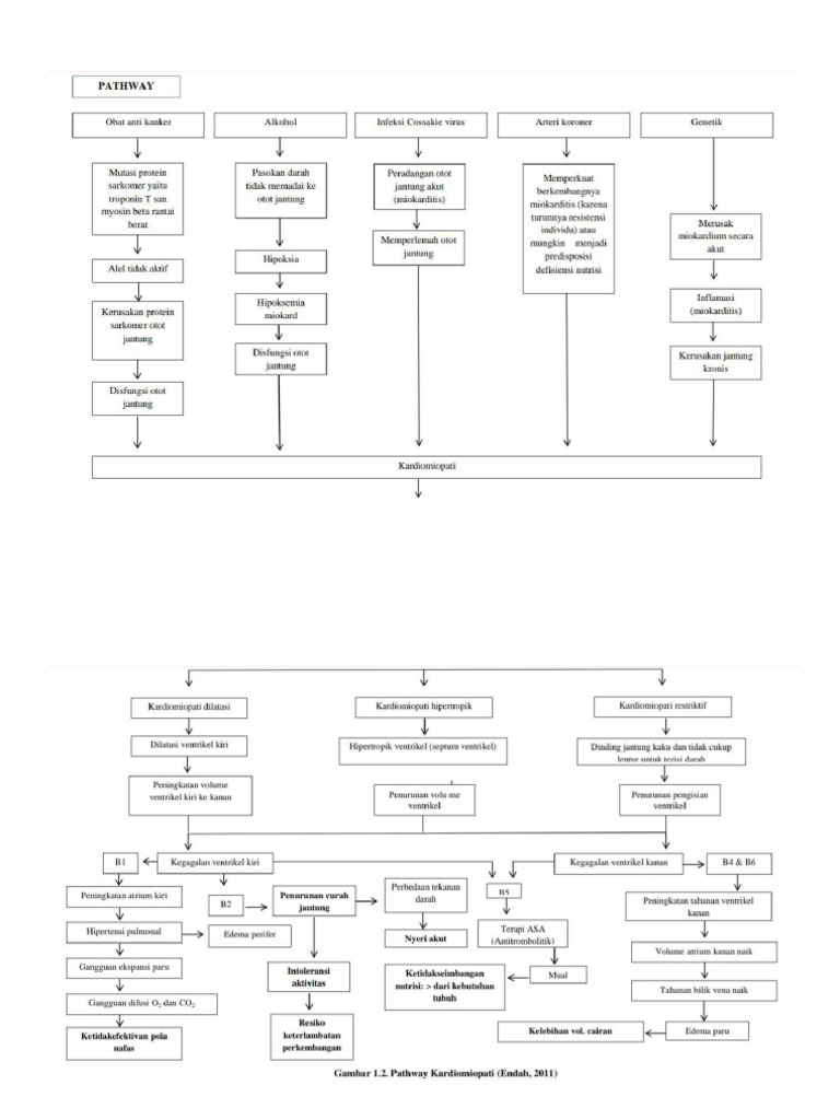 Pathway Kardiomiopati | PDF