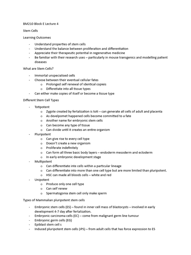 Stem Cells Notes | PDF | Cell Potency | Stem Cell