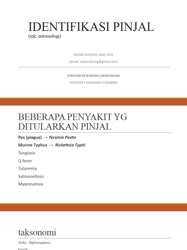 Identifikasi Pinjal | PDF | Sains & Matematika