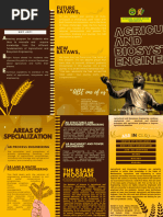 BSABE Program | PDF | Engineering | University And College Admission