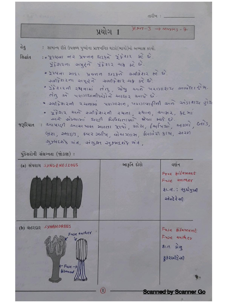 BIOLOGY STD 12 TH Journal | PDF