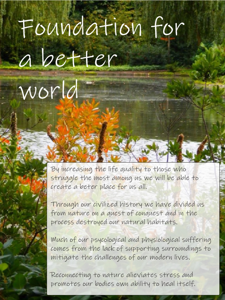 Foundation for a better world | PDF