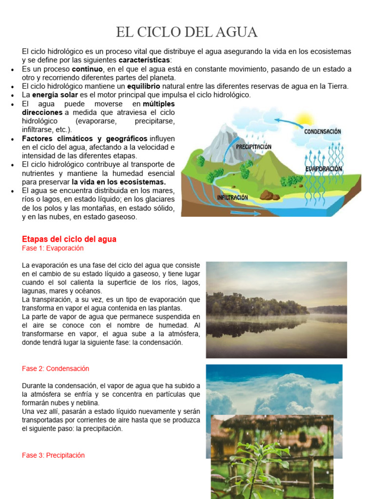 El Ciclo Del Agua | PDF | El ciclo del agua | Agua