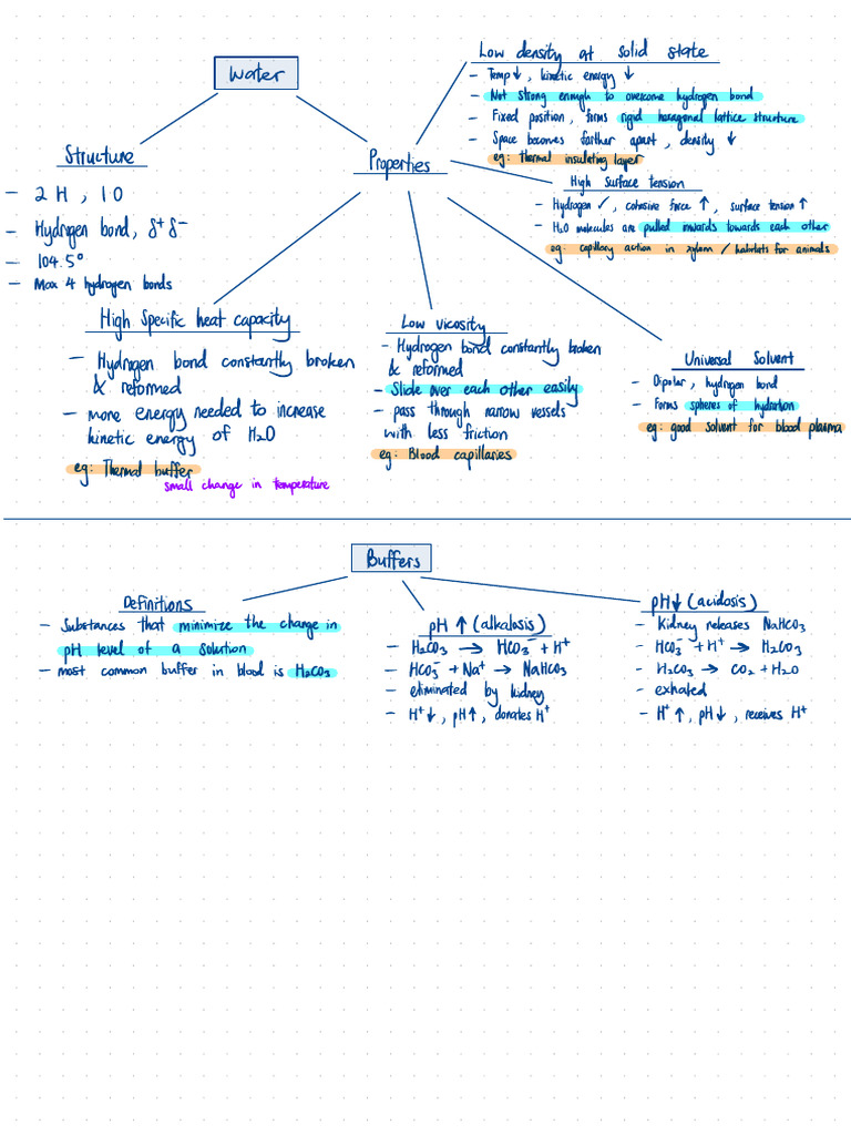 Bio Notes Foundation Level, Chapter 1 | PDF | Active Site | Enzyme