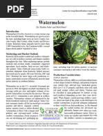 Watermelon Farming Guide | PDF | Watermelon | Soil