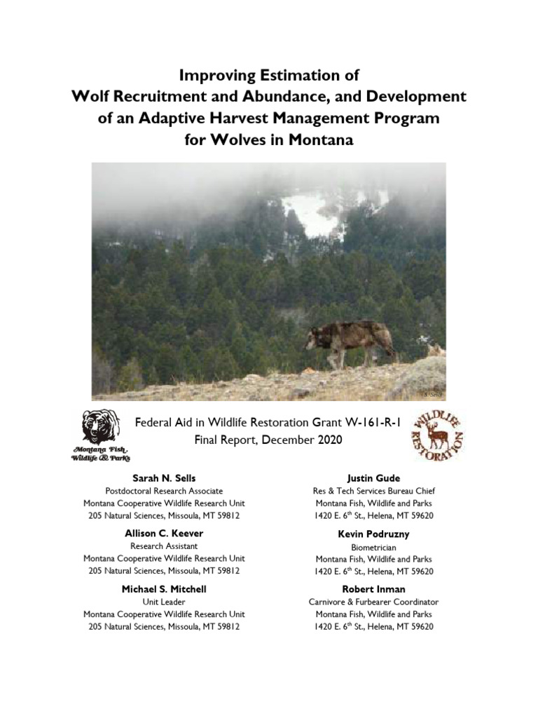 1 Montana Wolf Monitoring Study Final Report Compressed 1 | PDF | Predation