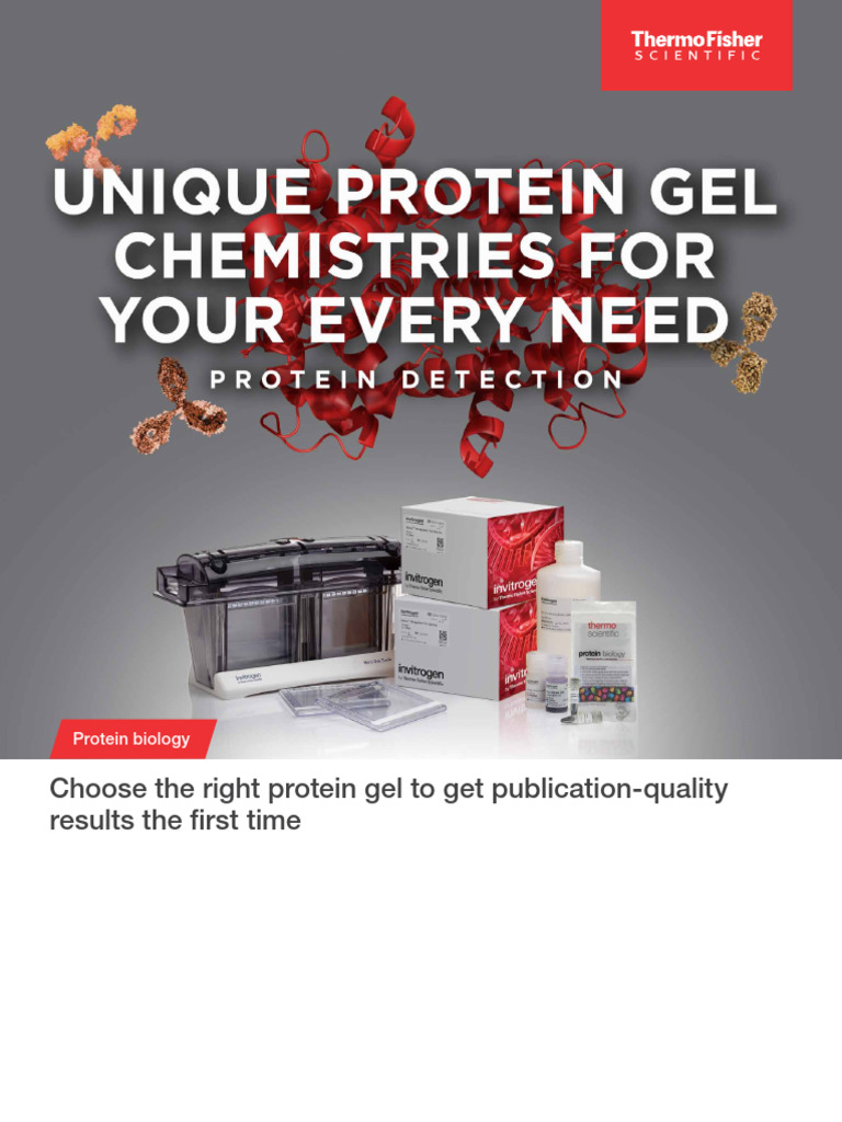Precast Protein Gels Brochure | PDF | Gel Electrophoresis | Western Blot