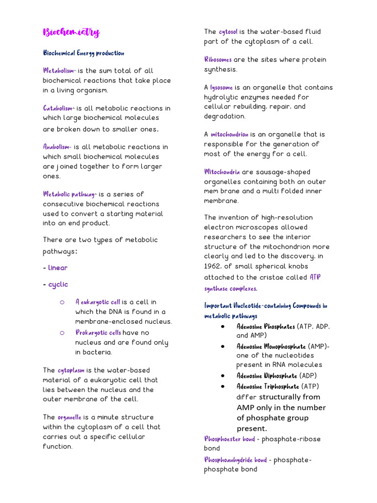 Biochemistry Notes | PDF | Nucleotides | Nicotinamide Adenine Dinucleotide