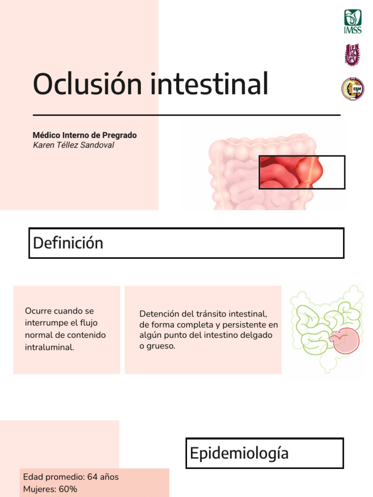 Oclusión Intestinal - Karen Téllez | PDF | Especialidades Medicas ...