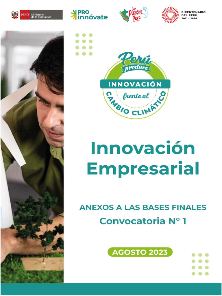 Anexos-Bases Finales Innov Emp | Descargar gratis PDF | Perú | Planificación